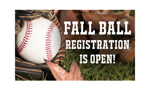 Home [www.lfyaabaseball.com]